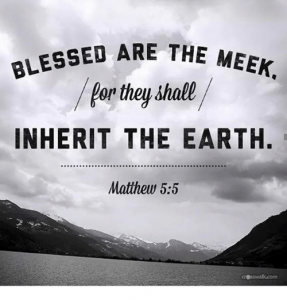 The Meek Shall Inherit the Earth | Bill Hutchison